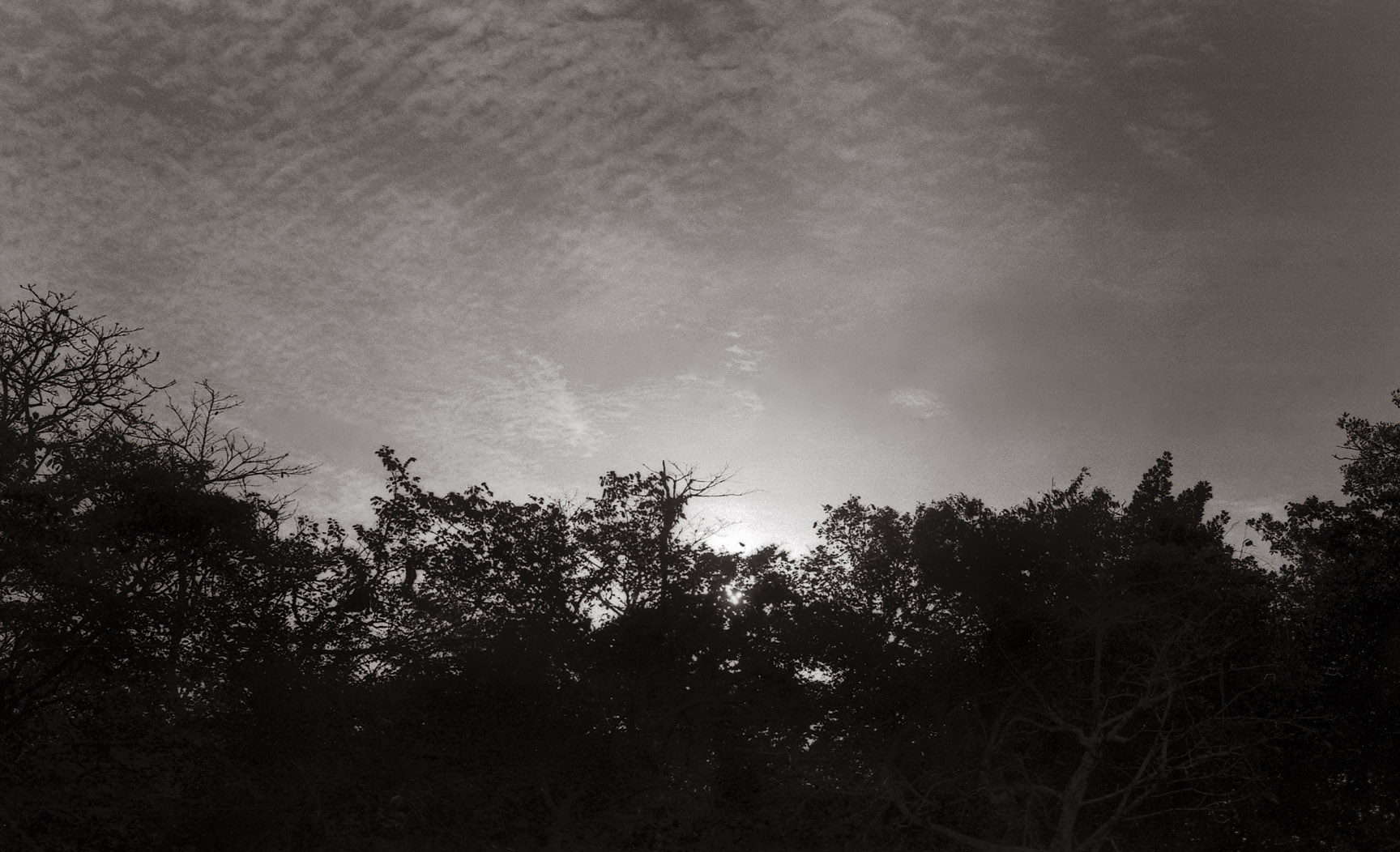 Page 64 Kobbe Kid Album