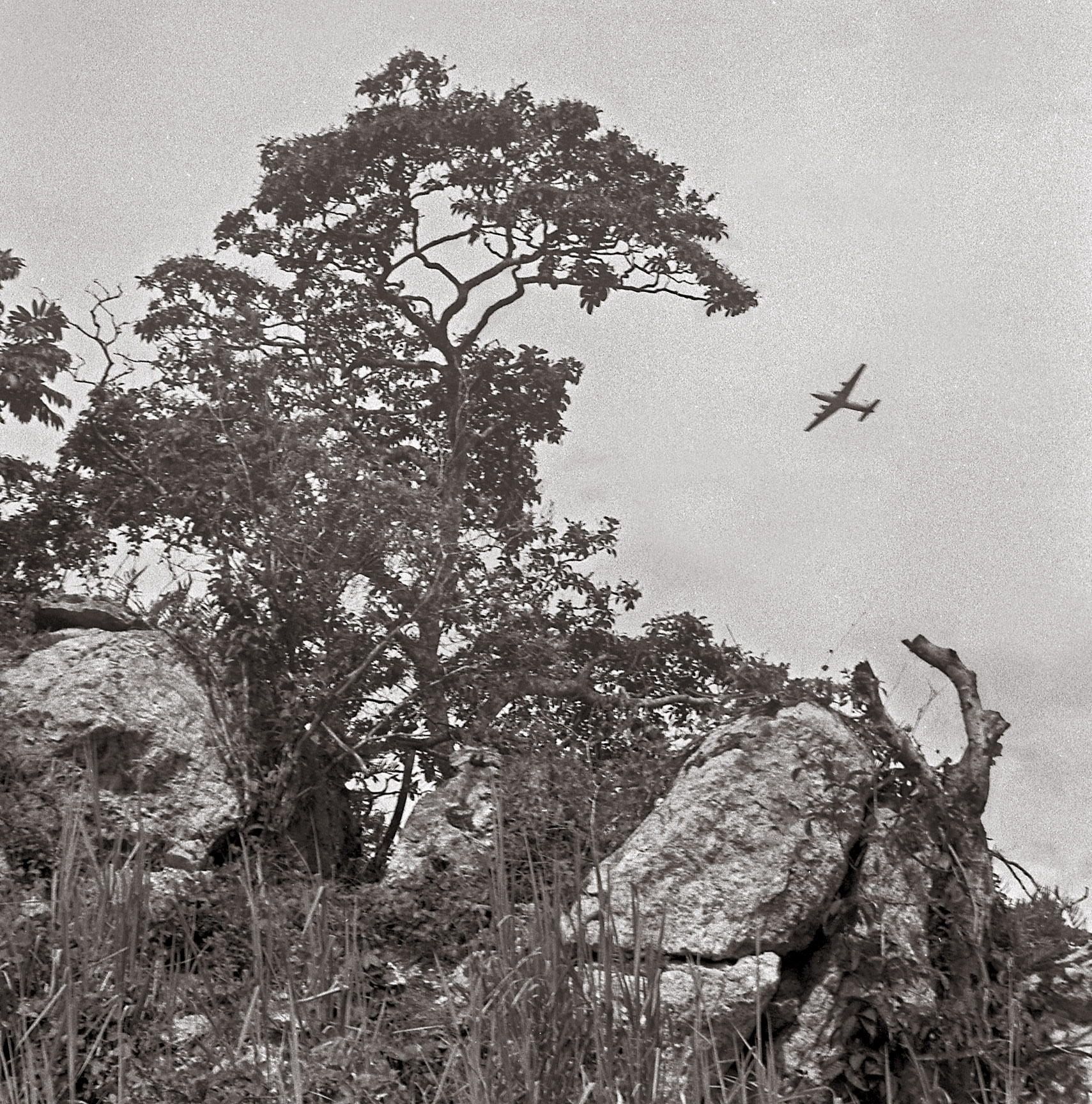 Page 68 Kobbe Kid Album